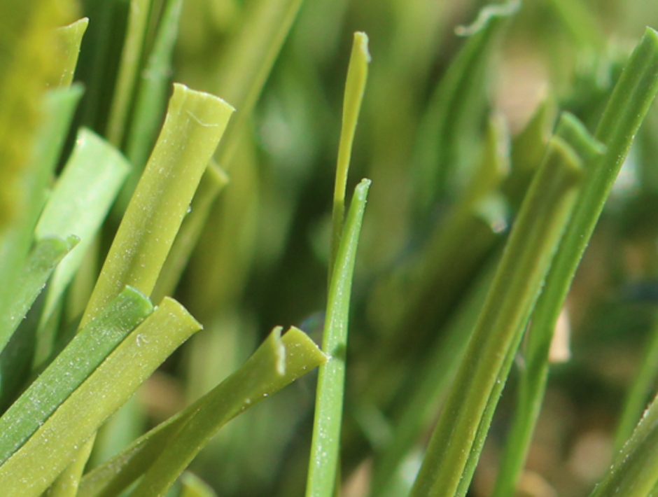 Products – Cal Coast Synthetic Turf